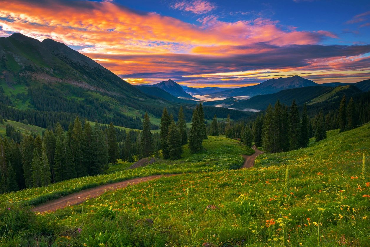 Offerings From The Divine - The Divine Path