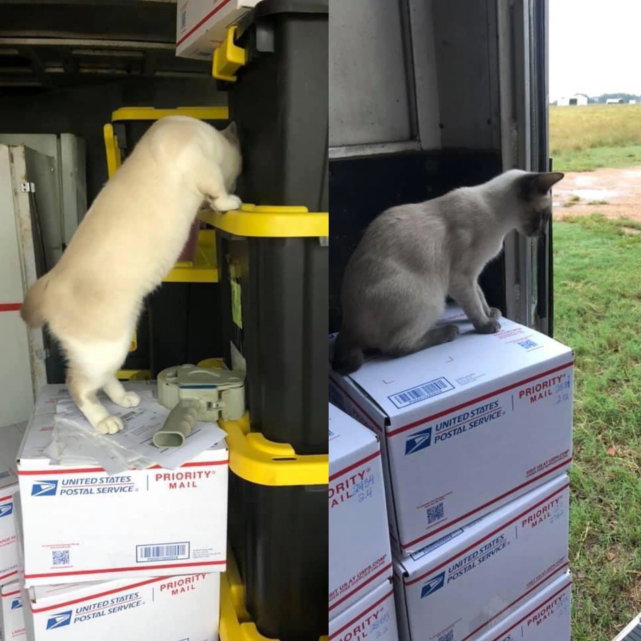 A 2020 throwback post-Busy week....