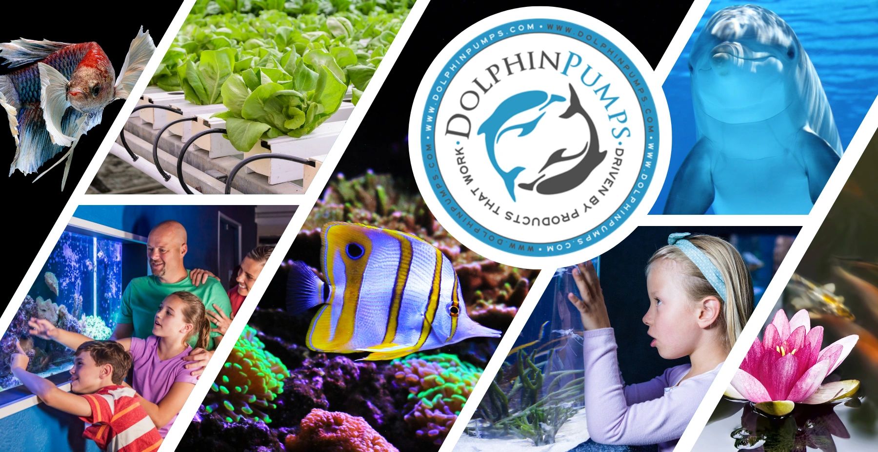 Dolphin Pumps - Closed Loop Pump, Pond Pump, Aquarium Pump