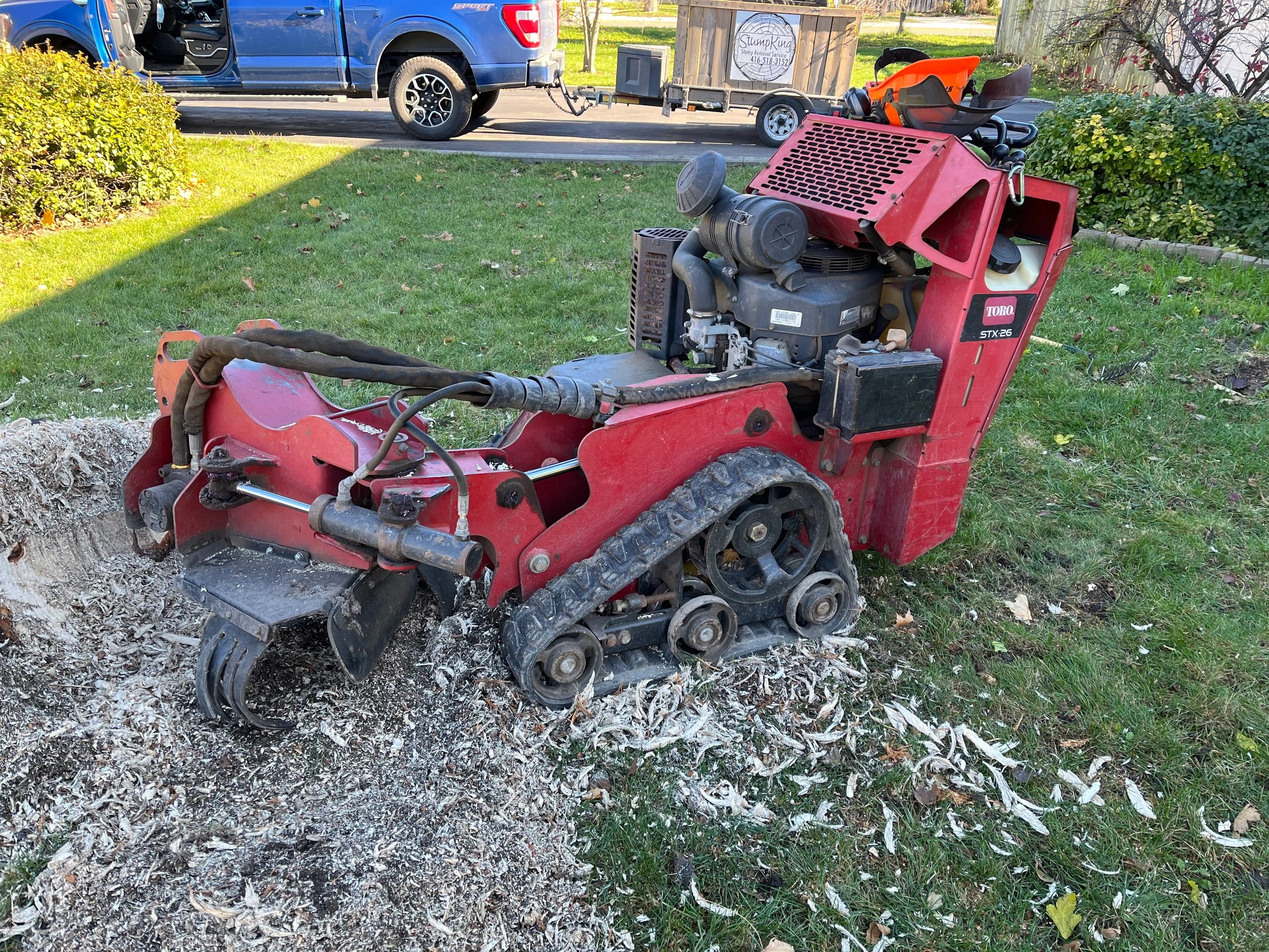 Stump King (Stump Removal Specialist) - Stump Removal, Stump Removal ...