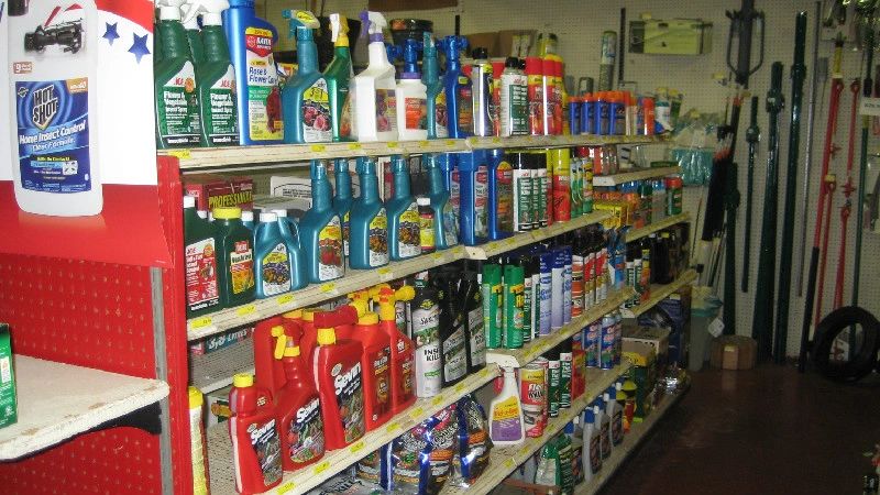 Home Page [marcoace.com]