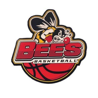 Bees Travel Basketball