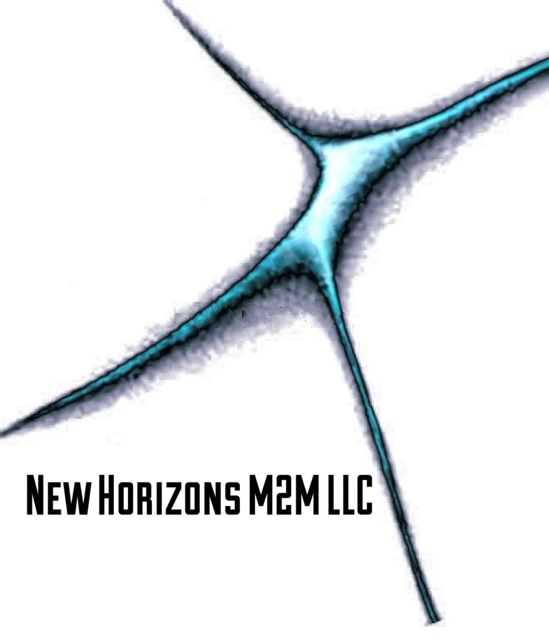 New Horizons M2M LLC