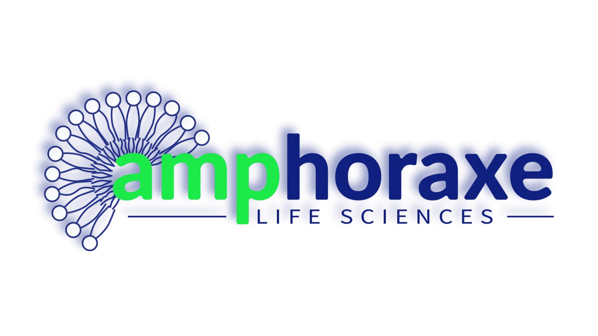 Amphoraxe - Antimicrobial Peptides, Antibiotic Replacements