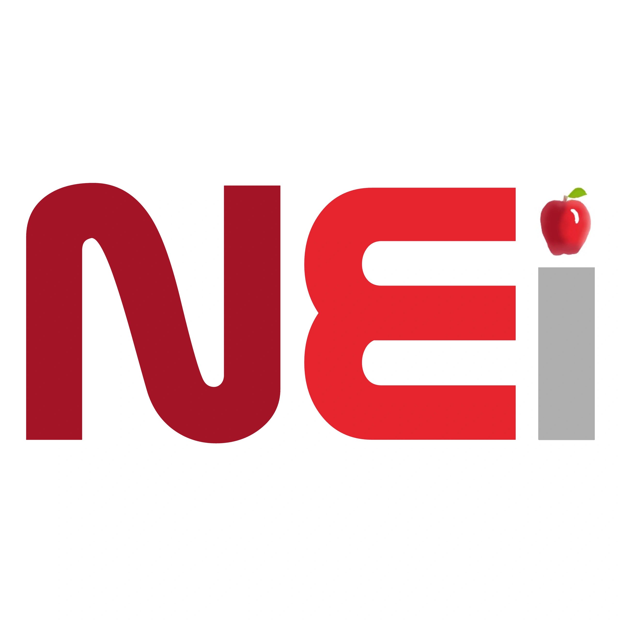 Newton Enterprises - Consulting, Food Industry