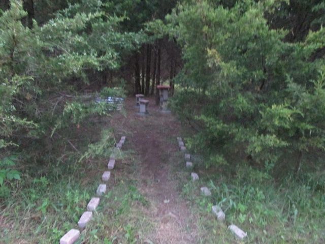 Rustling Bush Ridge Campsite