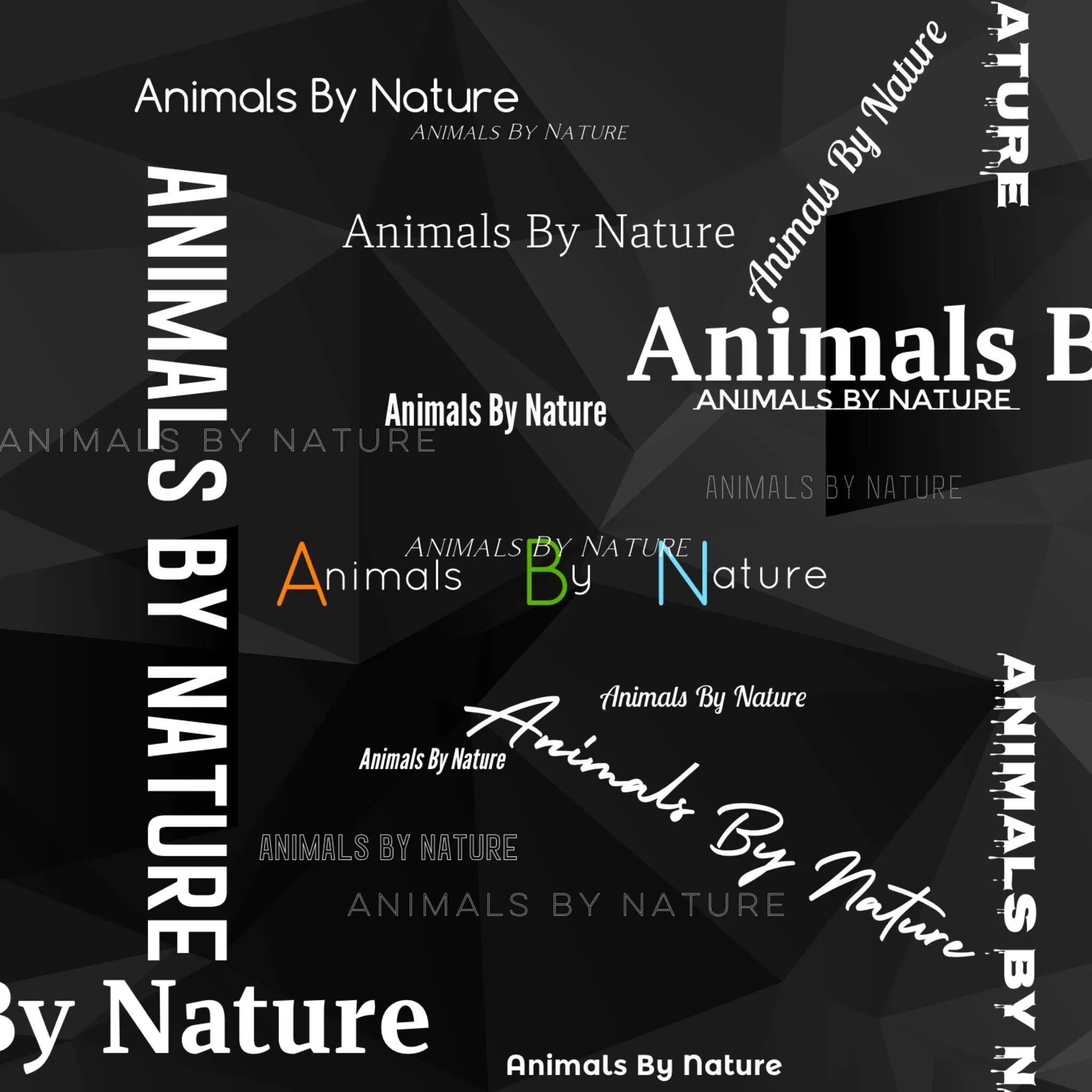 Discover the World of reptiles & other exotic pets at Animals By Nature ...