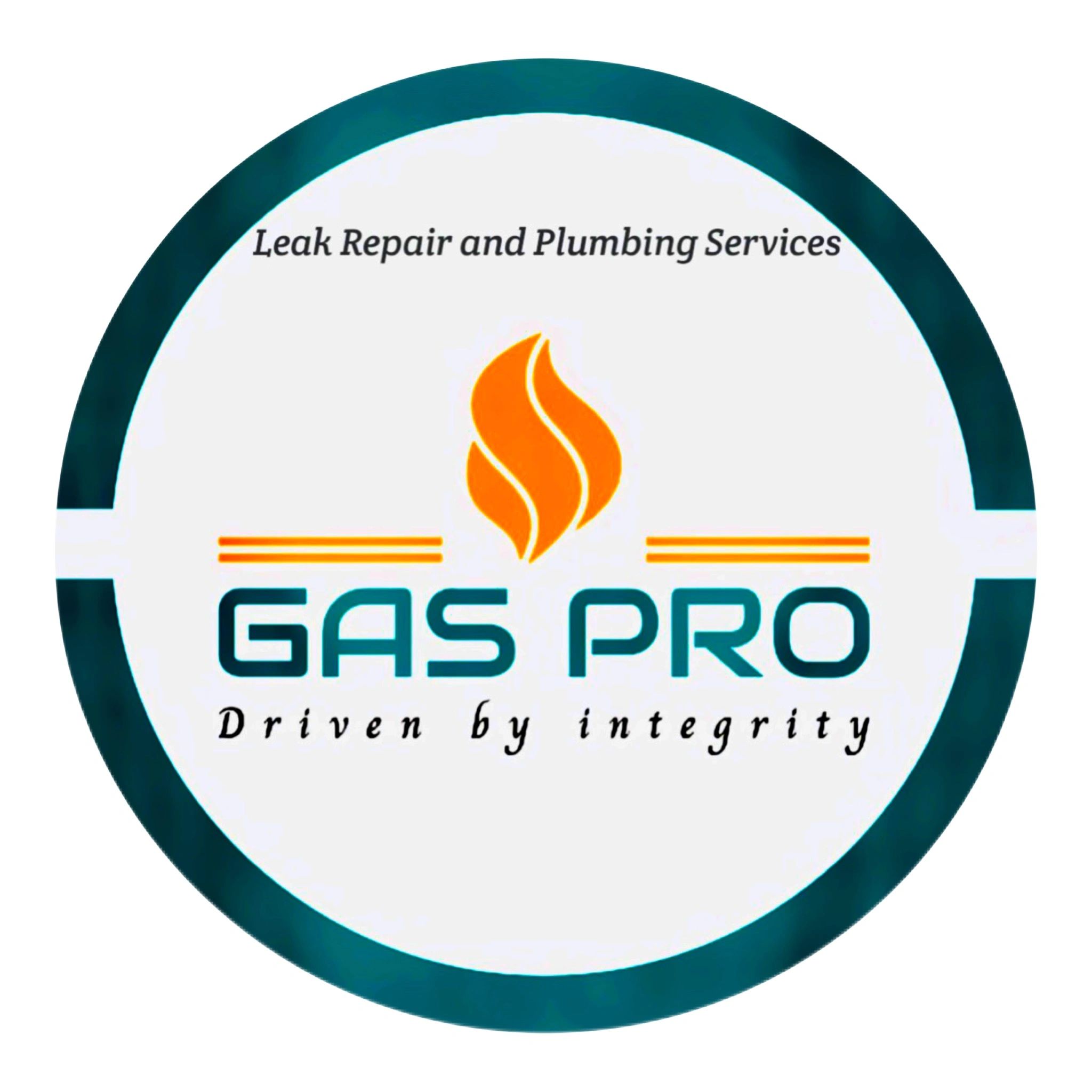 Gas Pro LLC