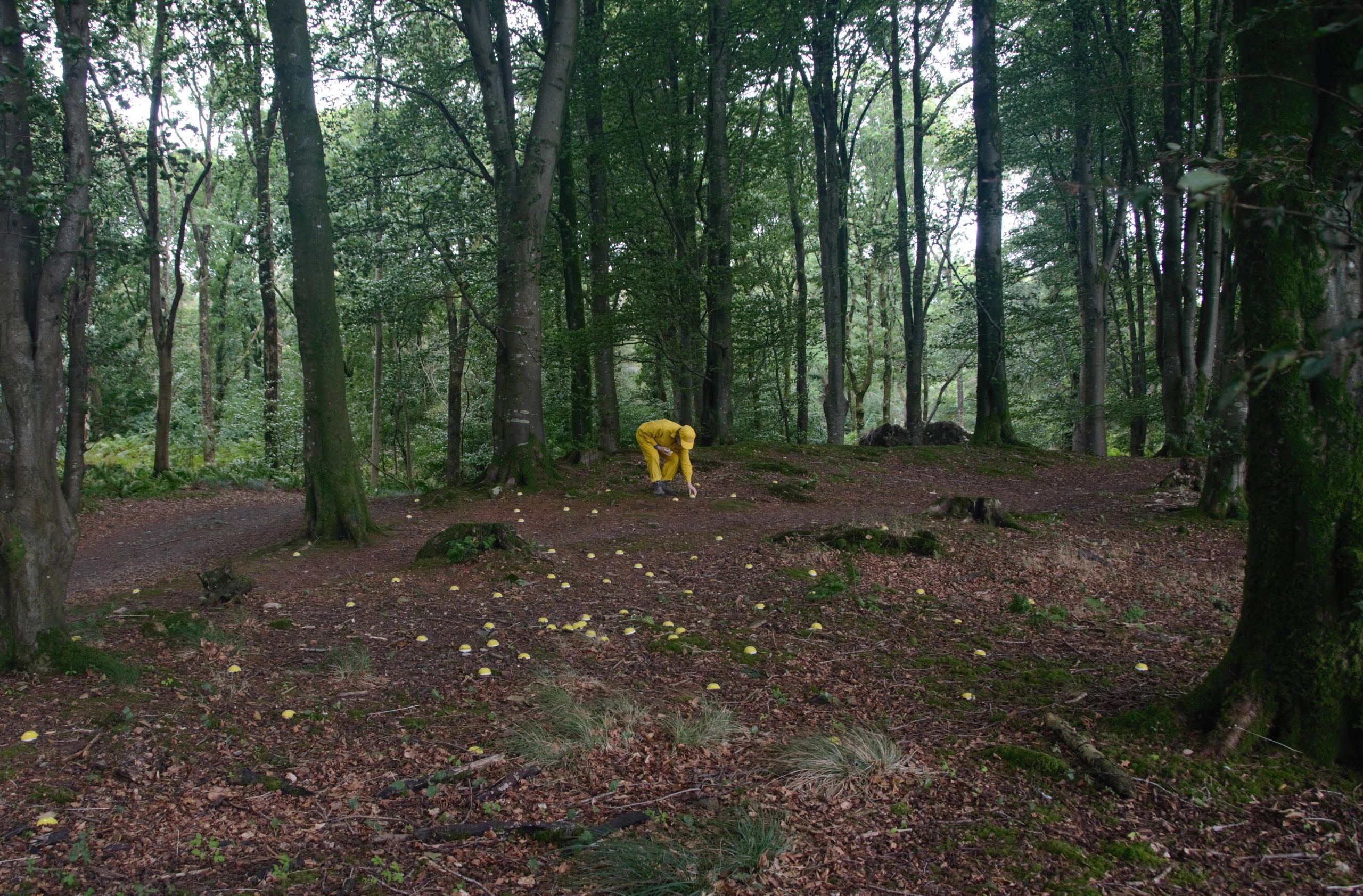 WORKSHOPS | Frances Ross Studio