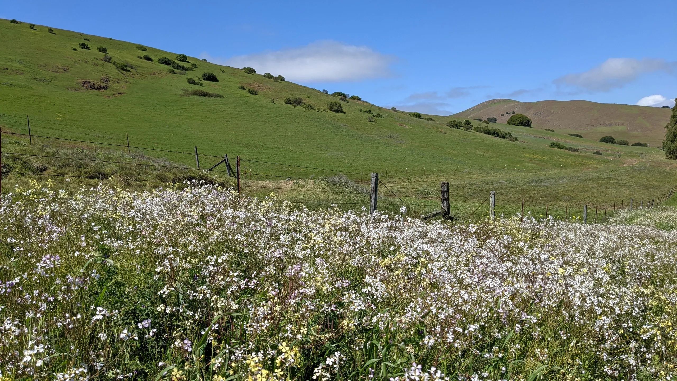 NorCal Civil Engineering Inc. - Septic Systems, Tailored Designs