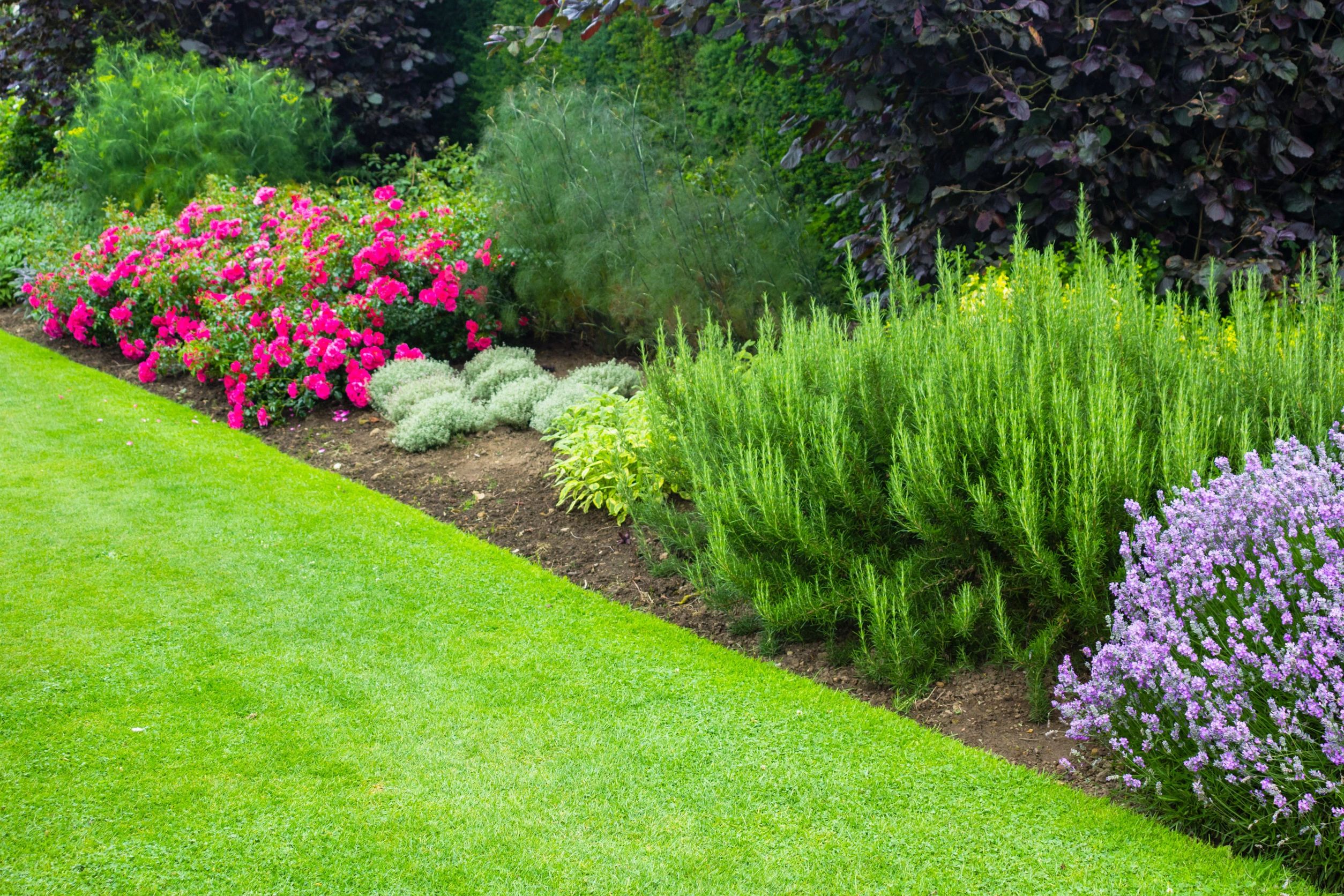 C&M Landscaping: Professional Landscaping & Construction Services