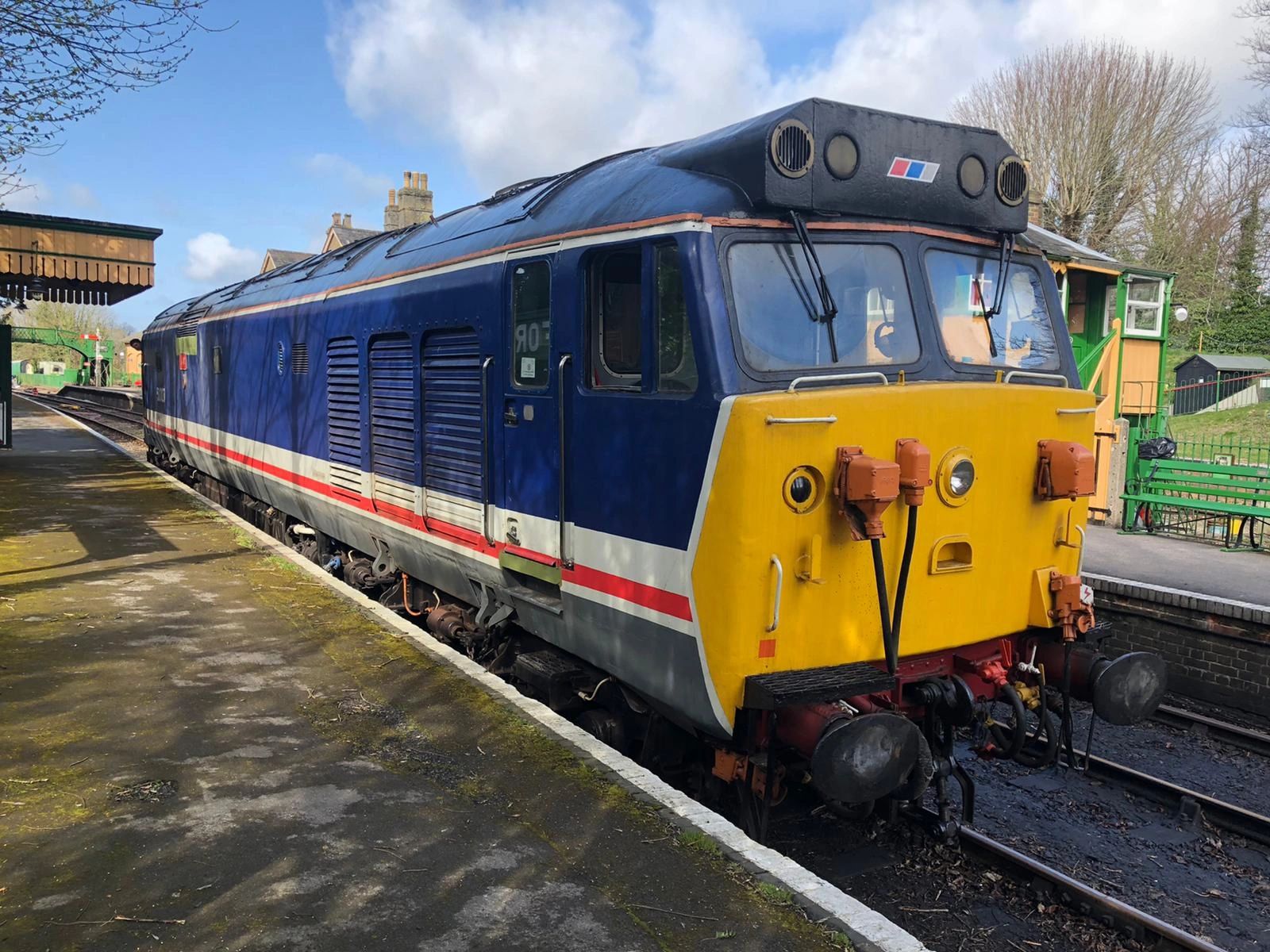 What has Lion been up to?