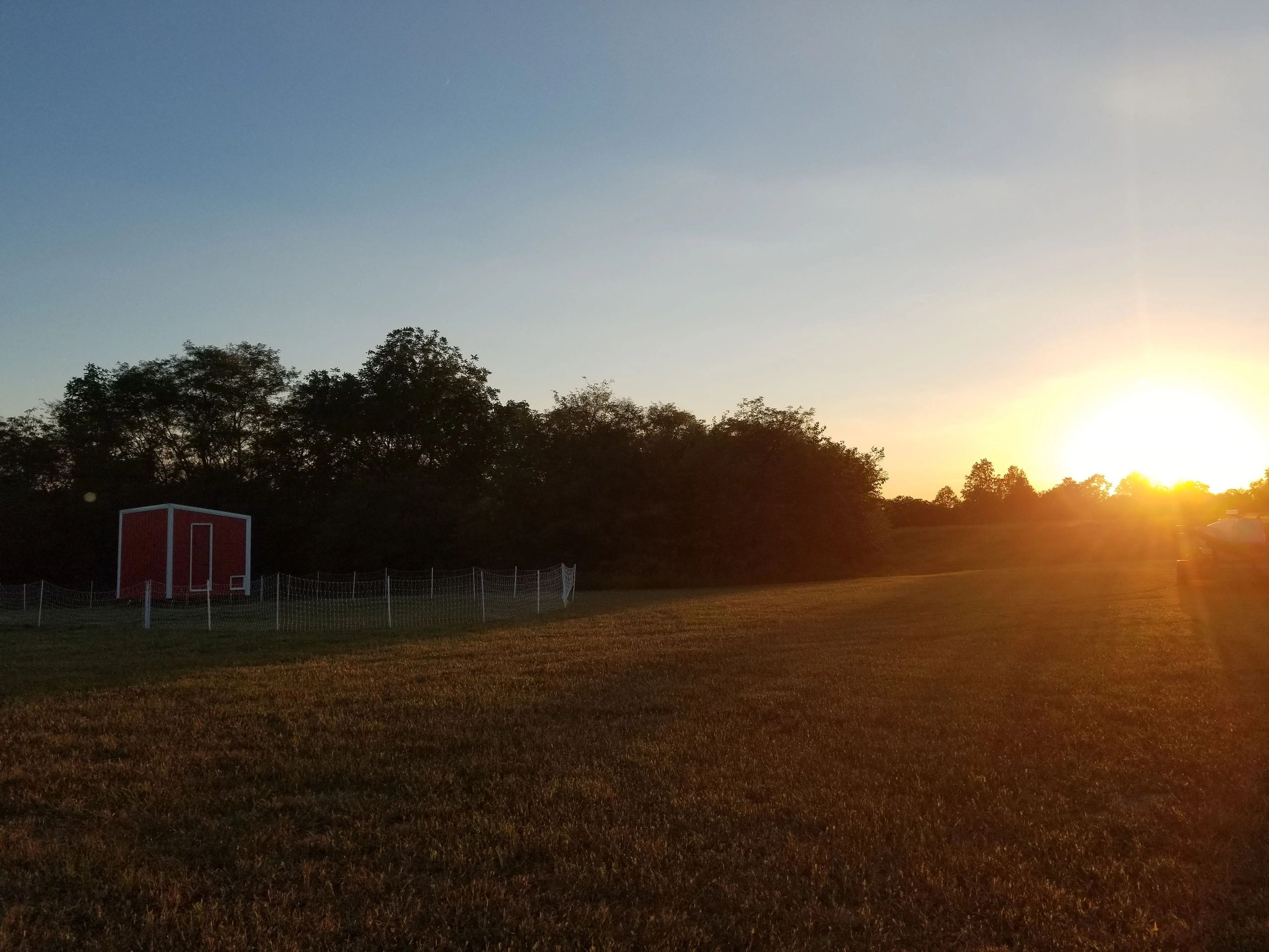 Eagle Ridge Farm & Company - Chickens, Farm, Chickens, Eggs
