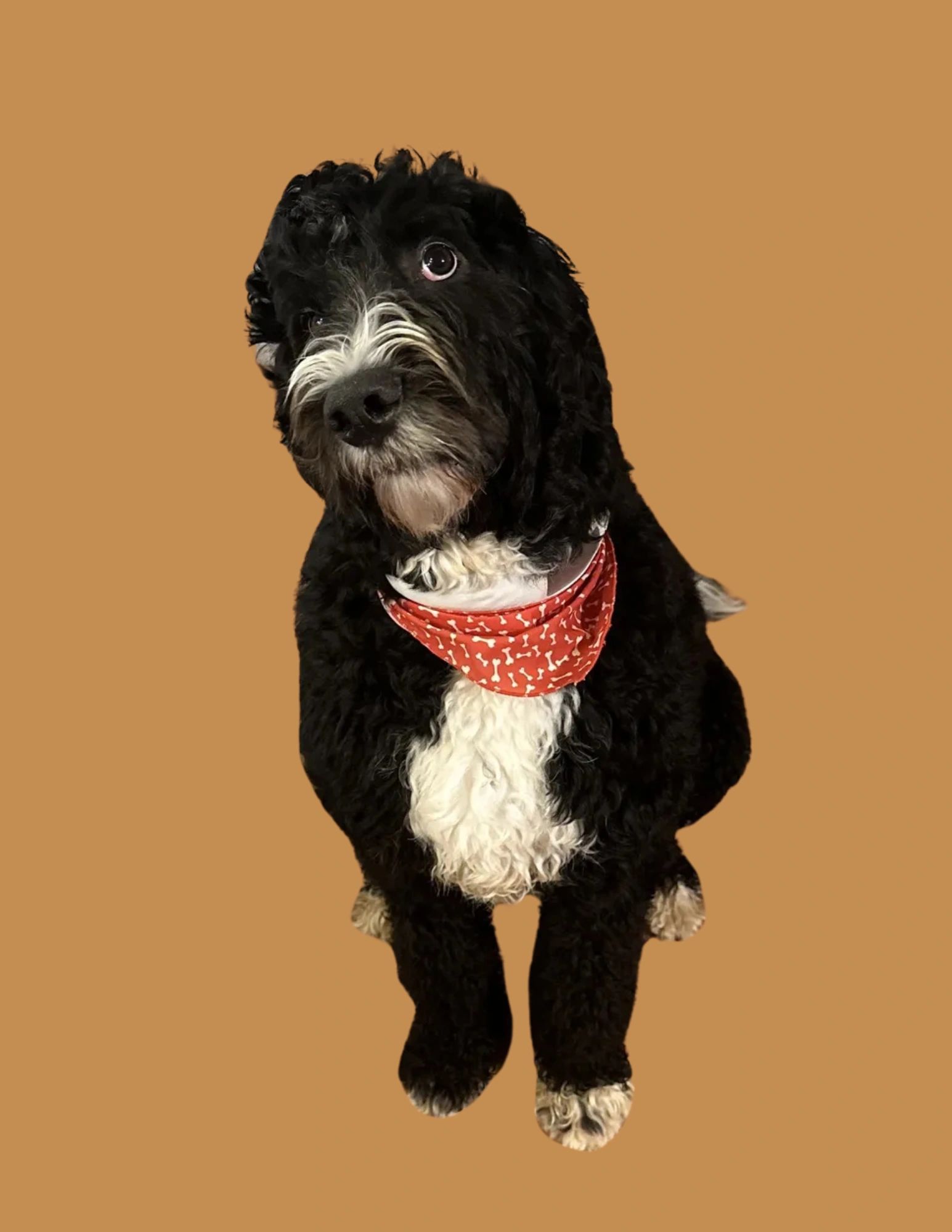 Sean Products - Premium Products for Everyday Needs