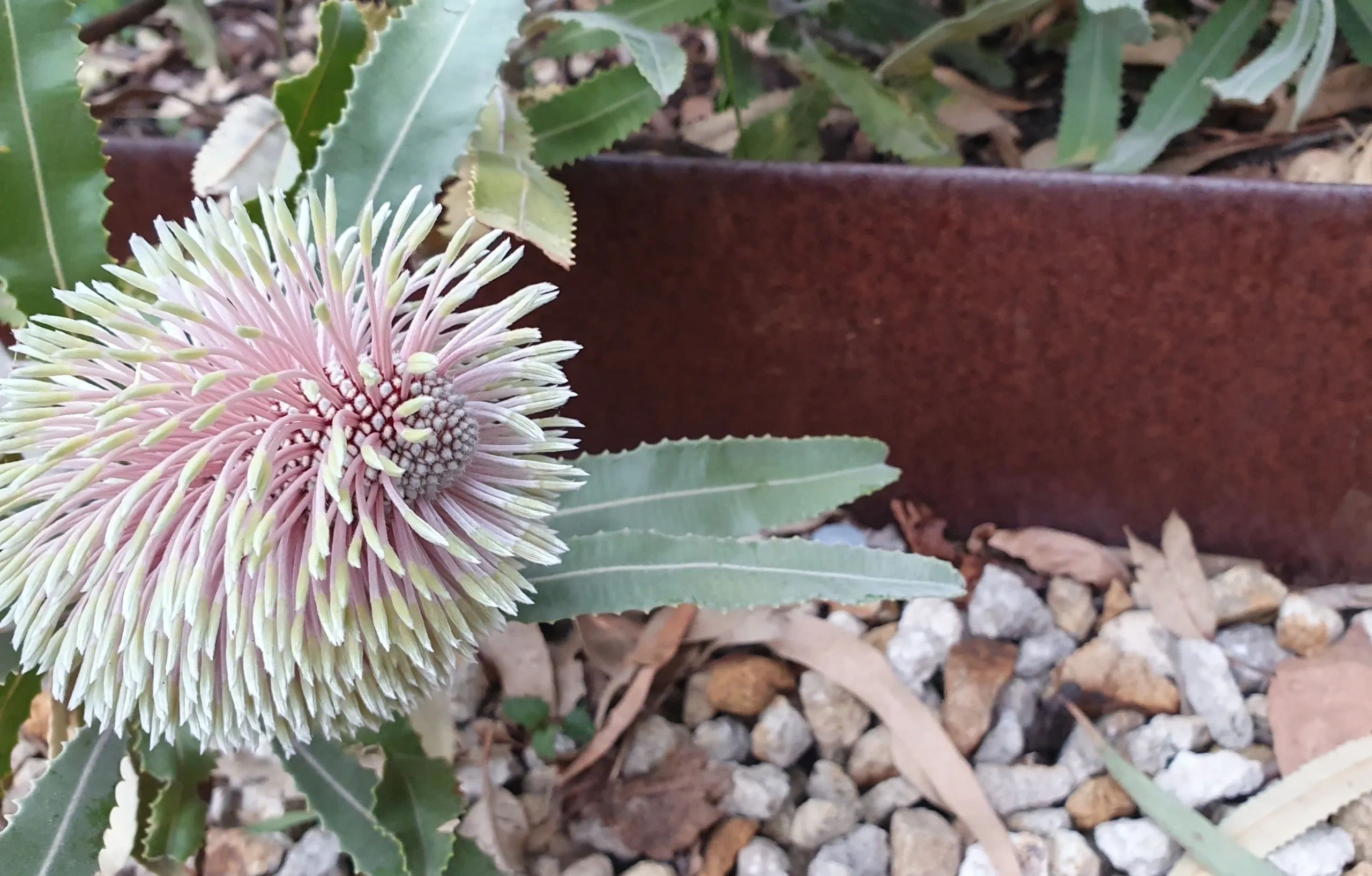 CONTACT US | Aspect Landscape Design