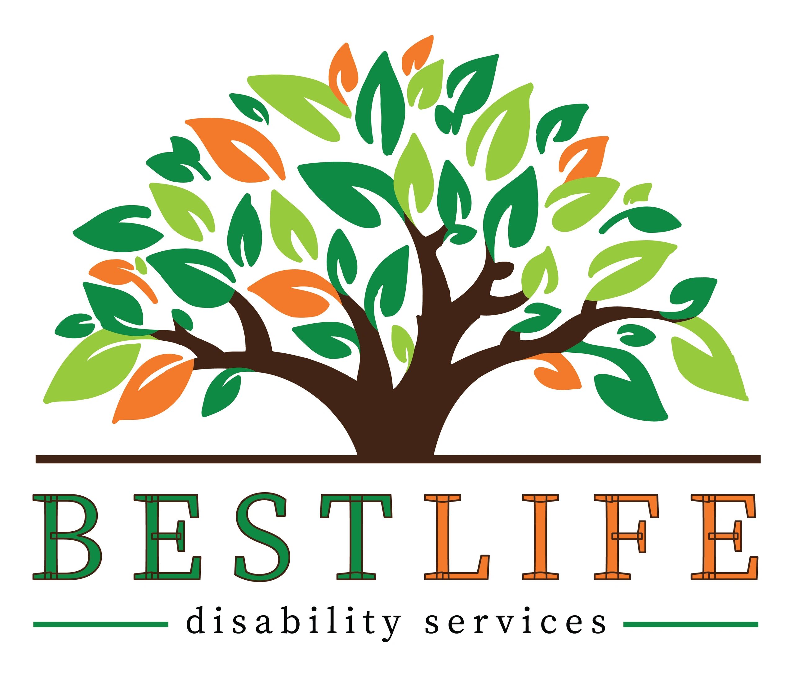 Best Life Disability