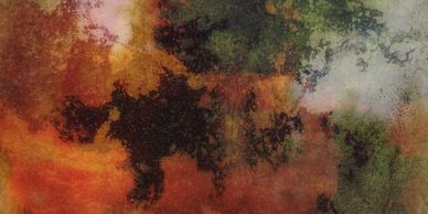 Camera Rochester - Home