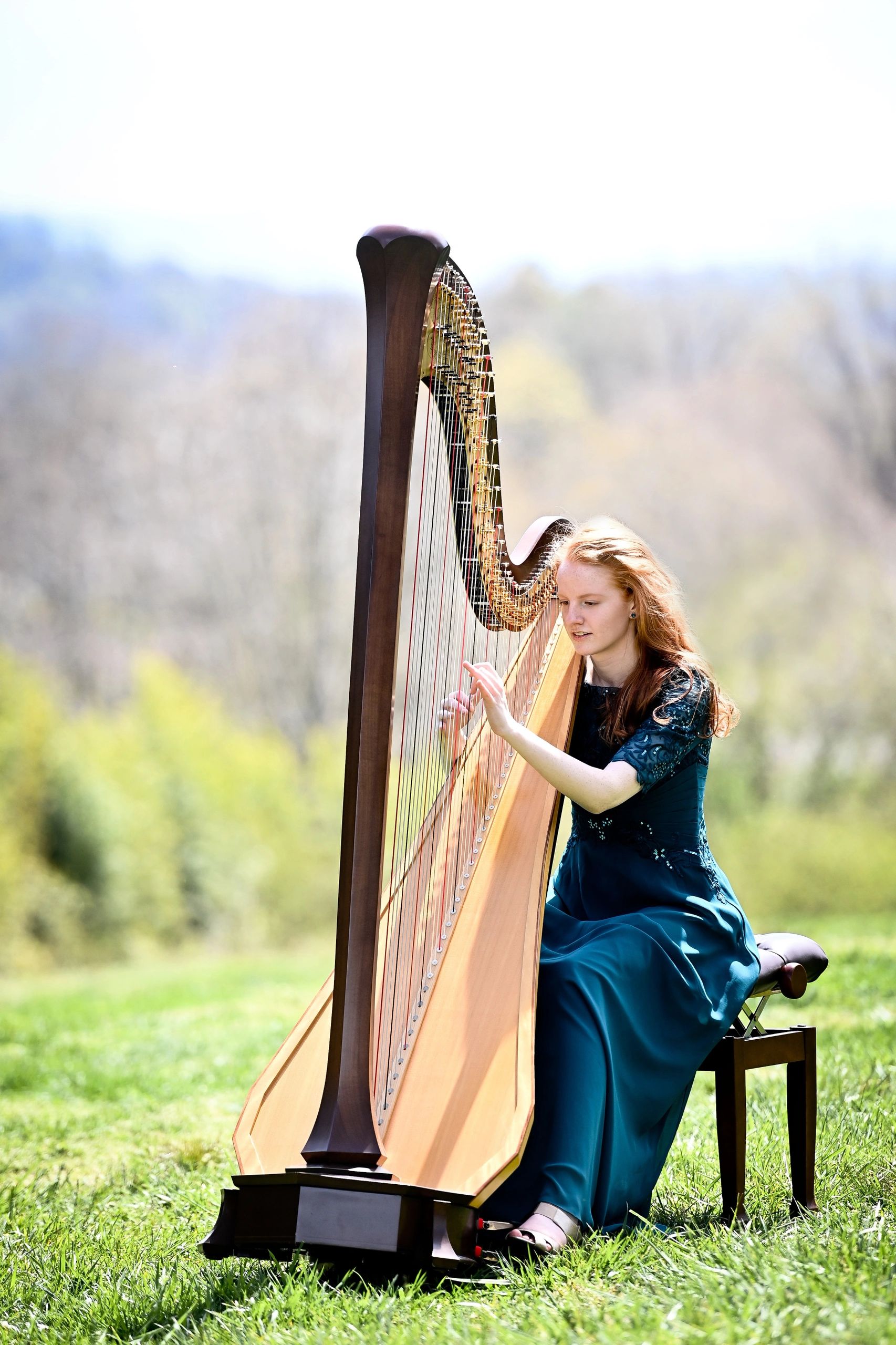 Amy Carty Wagers - Nightingale Harp