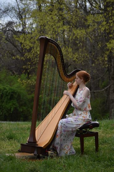Nightingale Harp - Amy Carty - Knoxville, Tennessee