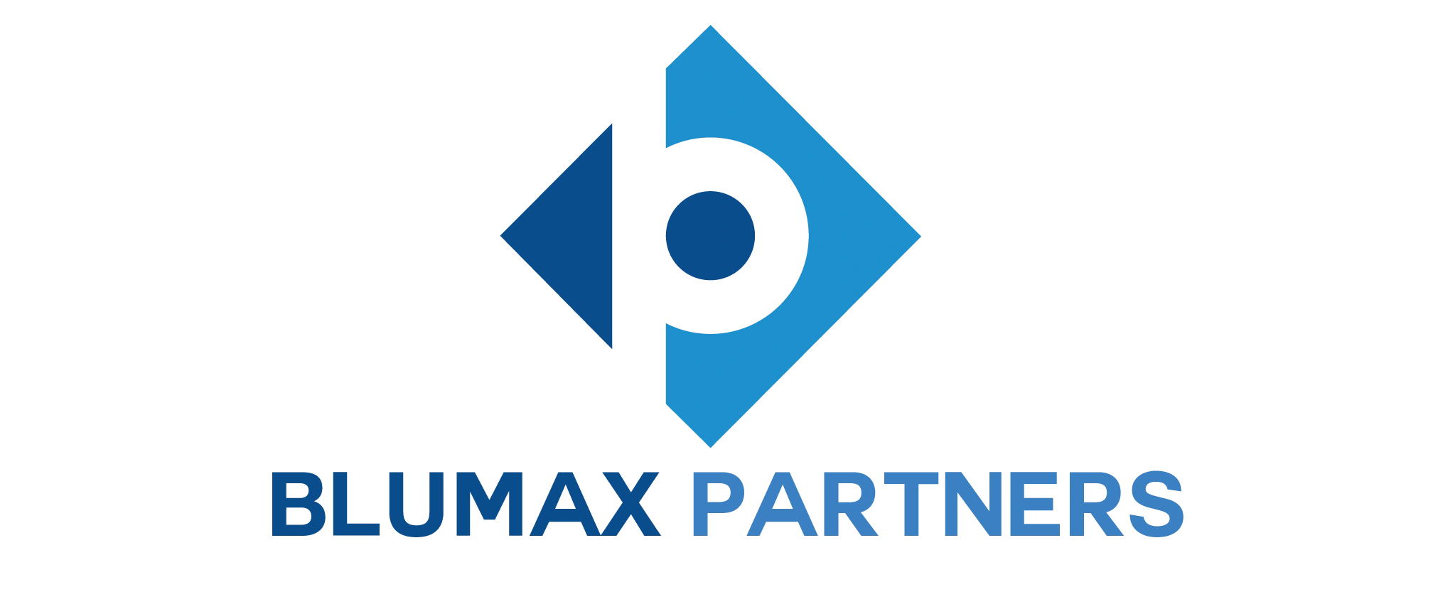 Blumax Partners