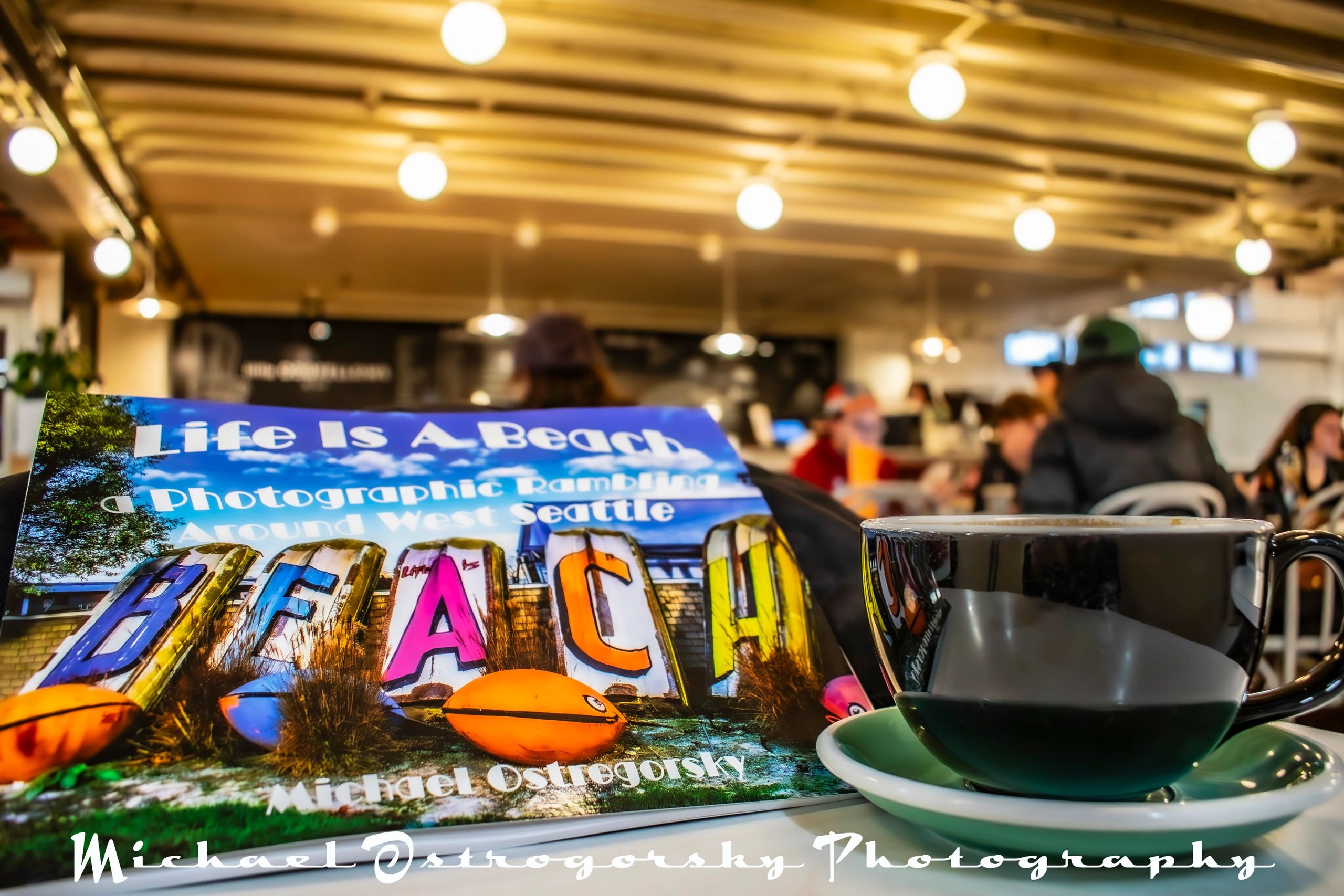 Bookstore - Blue Parrot Books