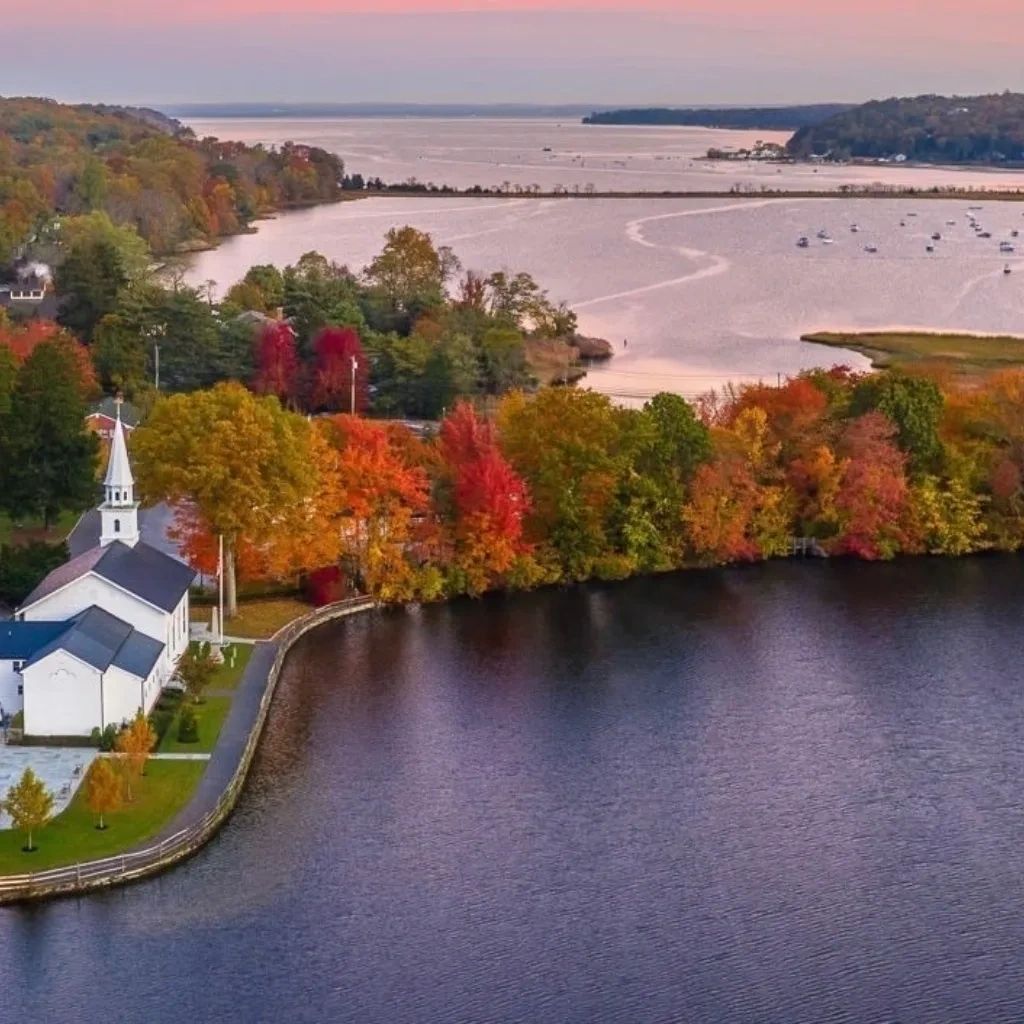 Preserve St. John's Pond: Join Our Community Effort!