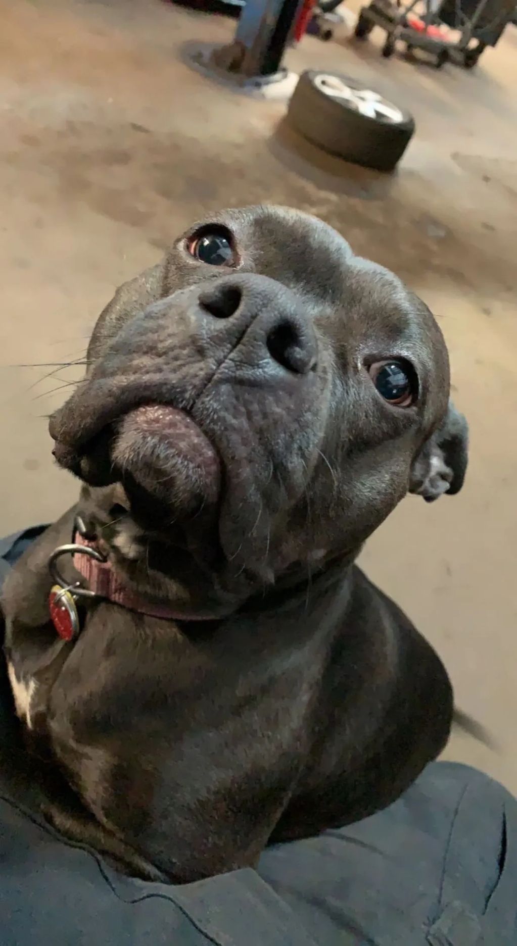 Thunderbolt Auto Care