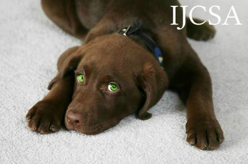IJCSA - Carpet Cleaning Directory