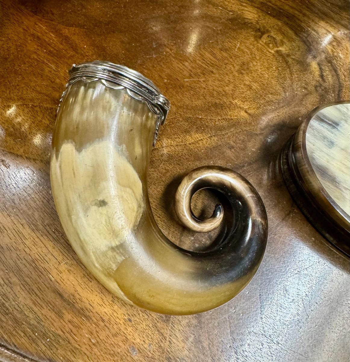 19th Century Scottish Ram Snuff Mull