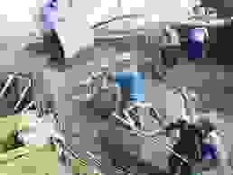 Houston Gunite, Inc. - Gunite, Swimming Pools Construction