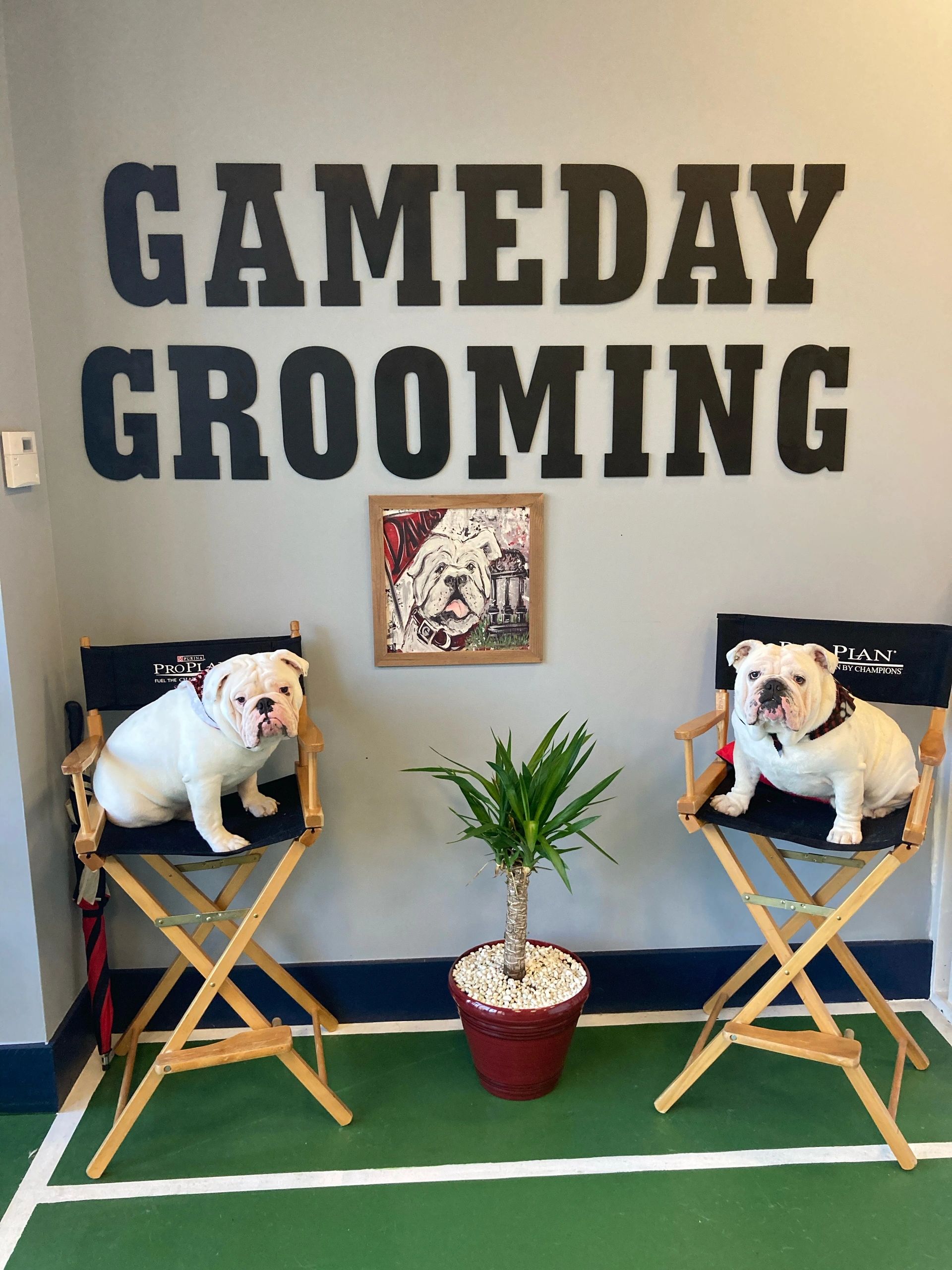Gameday Grooming - Home