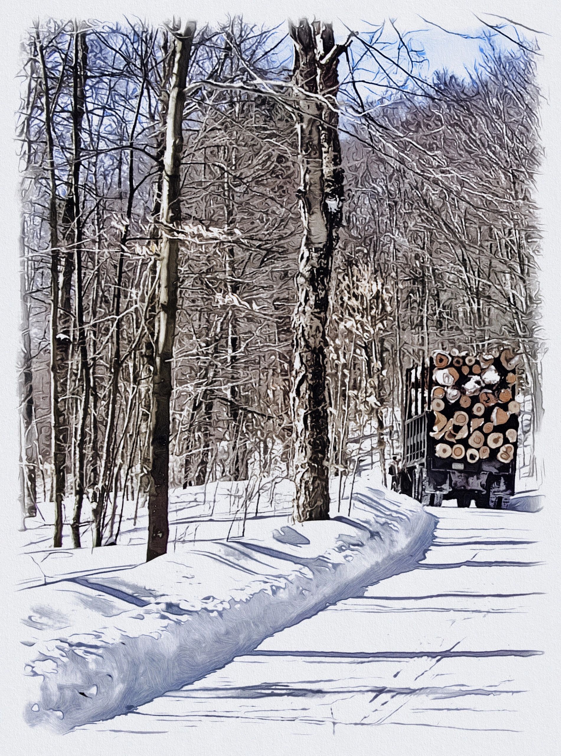 Logging Costs Survey 2022