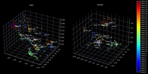 Exploring Embedding Alternatives: PaCMAP vs. UMAP in Data Science