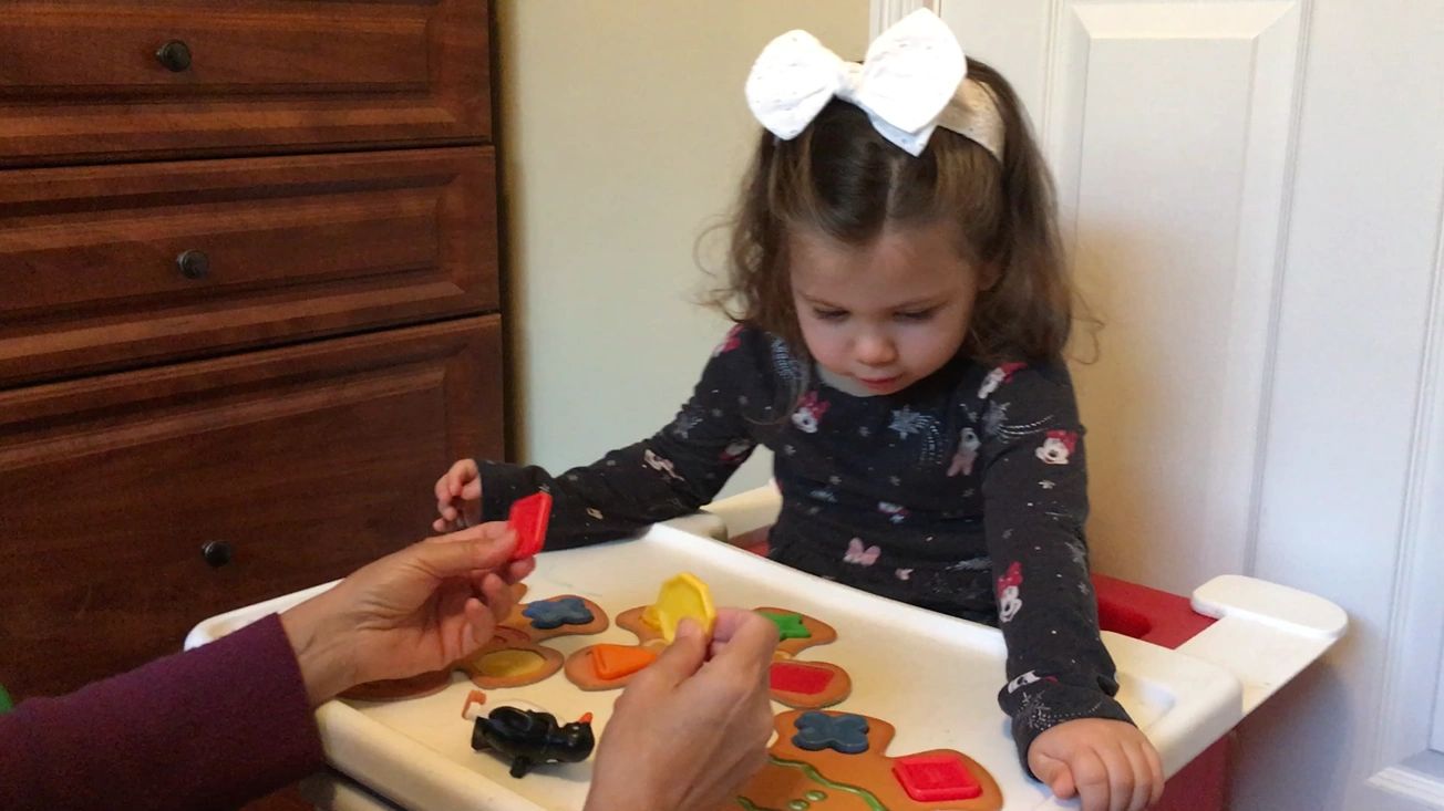Alana Fichtelberg, M.A., CCC-SLP - Speech Therapy, Speech, Language
