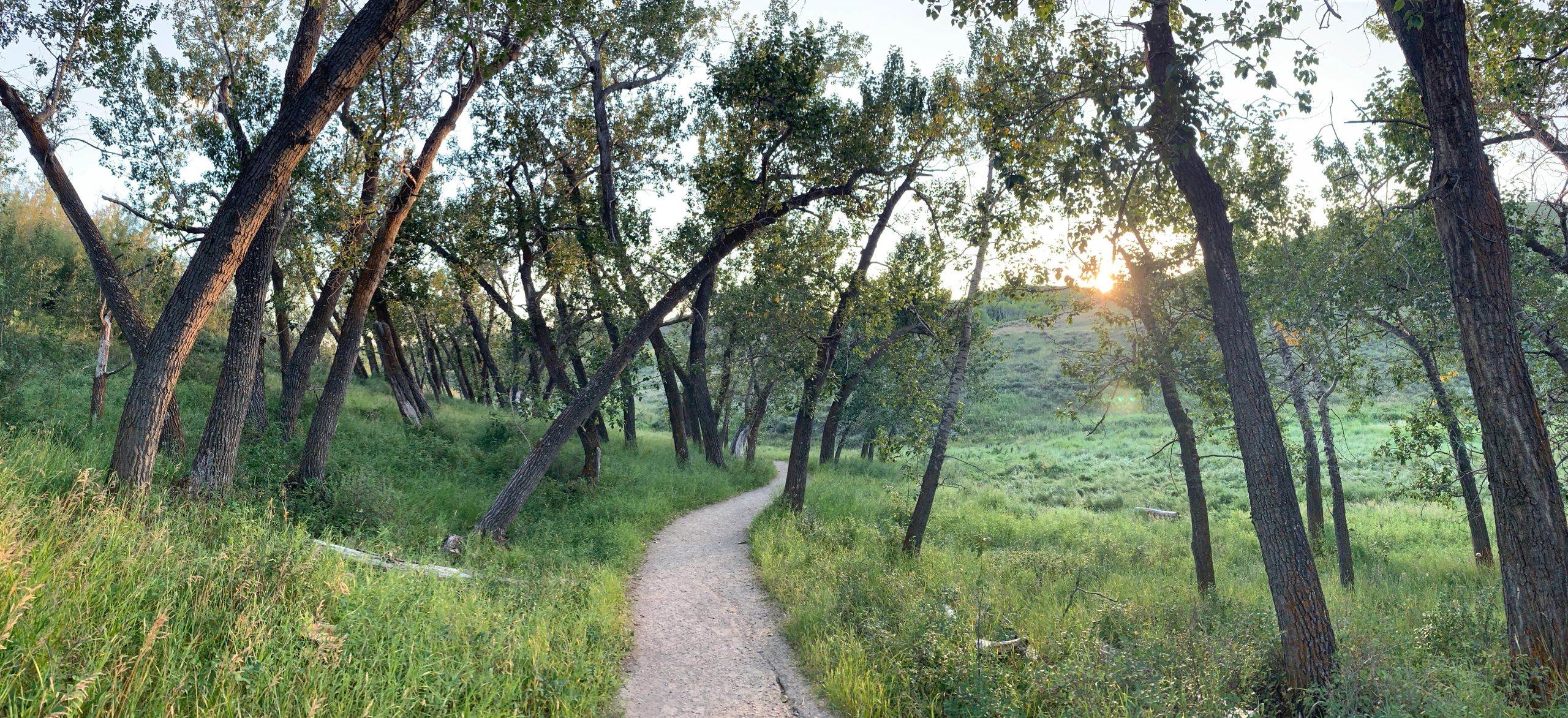 Gospel Grace Church - Church - Edmonton, Alberta