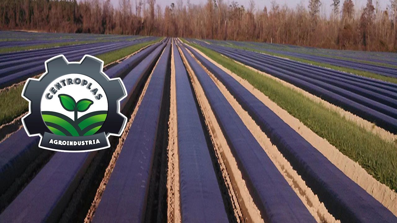 centroplas.com - Nylon Mulch Y Plásticos Agrícolas, Plásticos Para ...