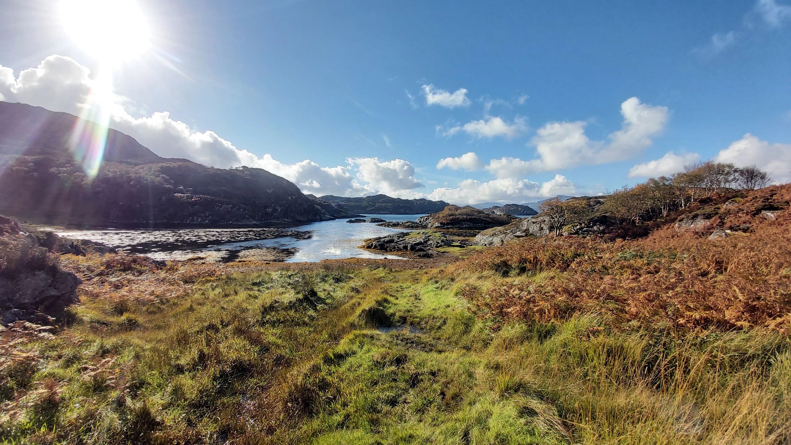 Hannah Joy Communication