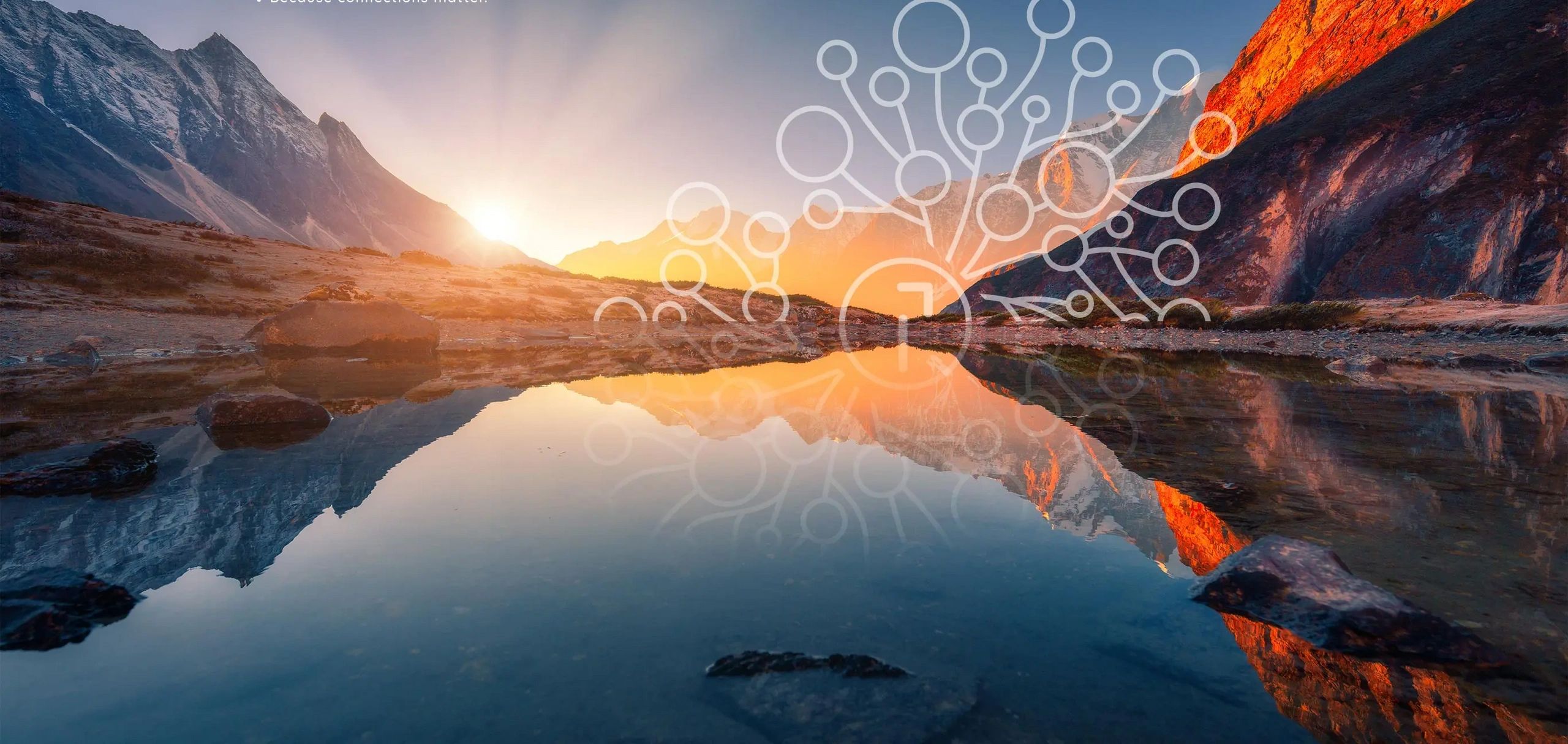 Hasler Business Systems (Pty) Ltd - online