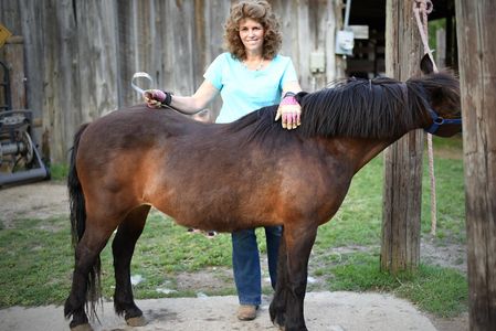 Shaky Tail Farm - Pony Party, Petting Zoo