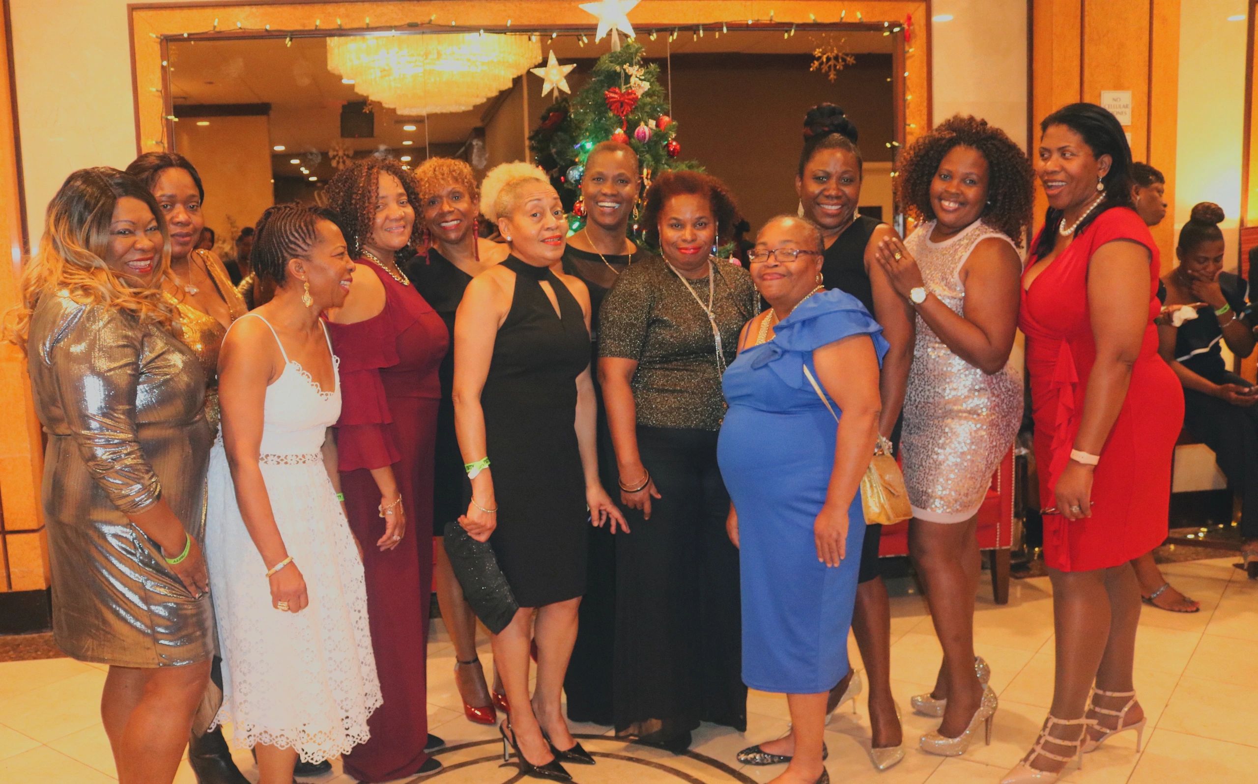 Merl Grove High School Past Students' Associaton NY Chapter Inc.