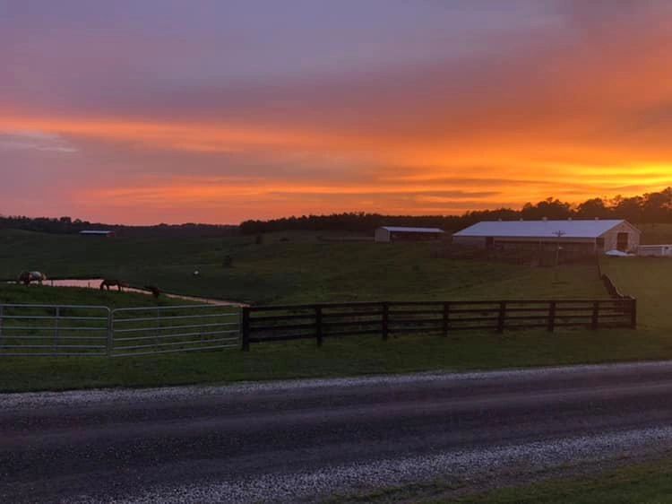 Windy Pines Farm & Venue