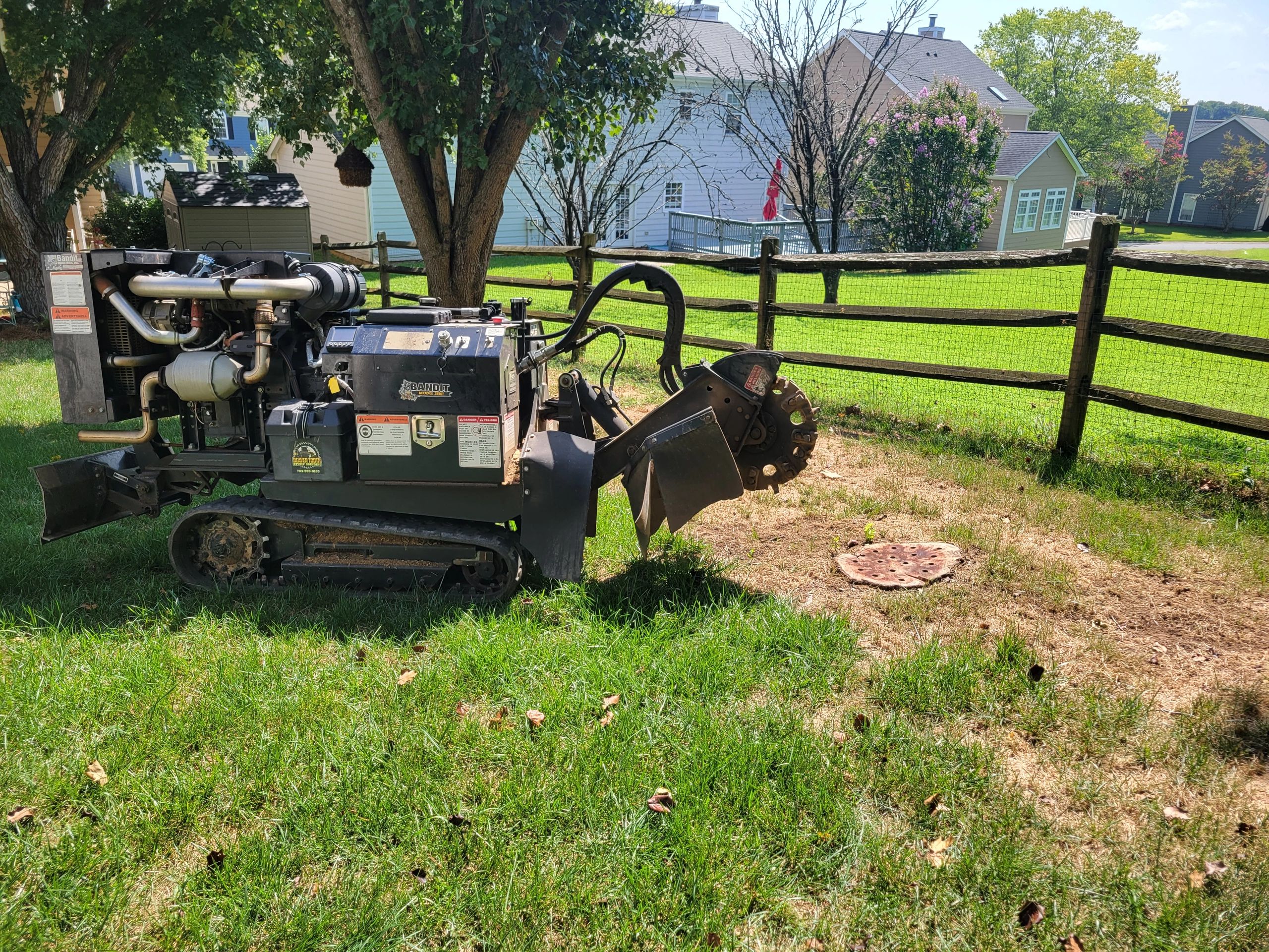 Professional Stump Removal Services