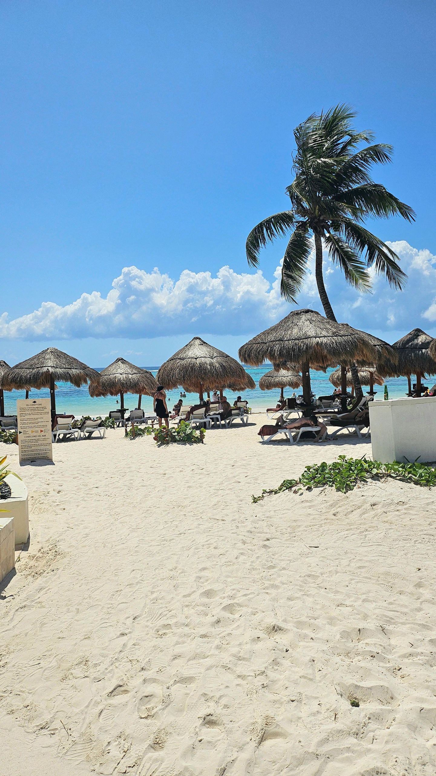 Savvy Xscapes - Caribbean Beaches, Tropical Vacations, Dream Beach Vacation