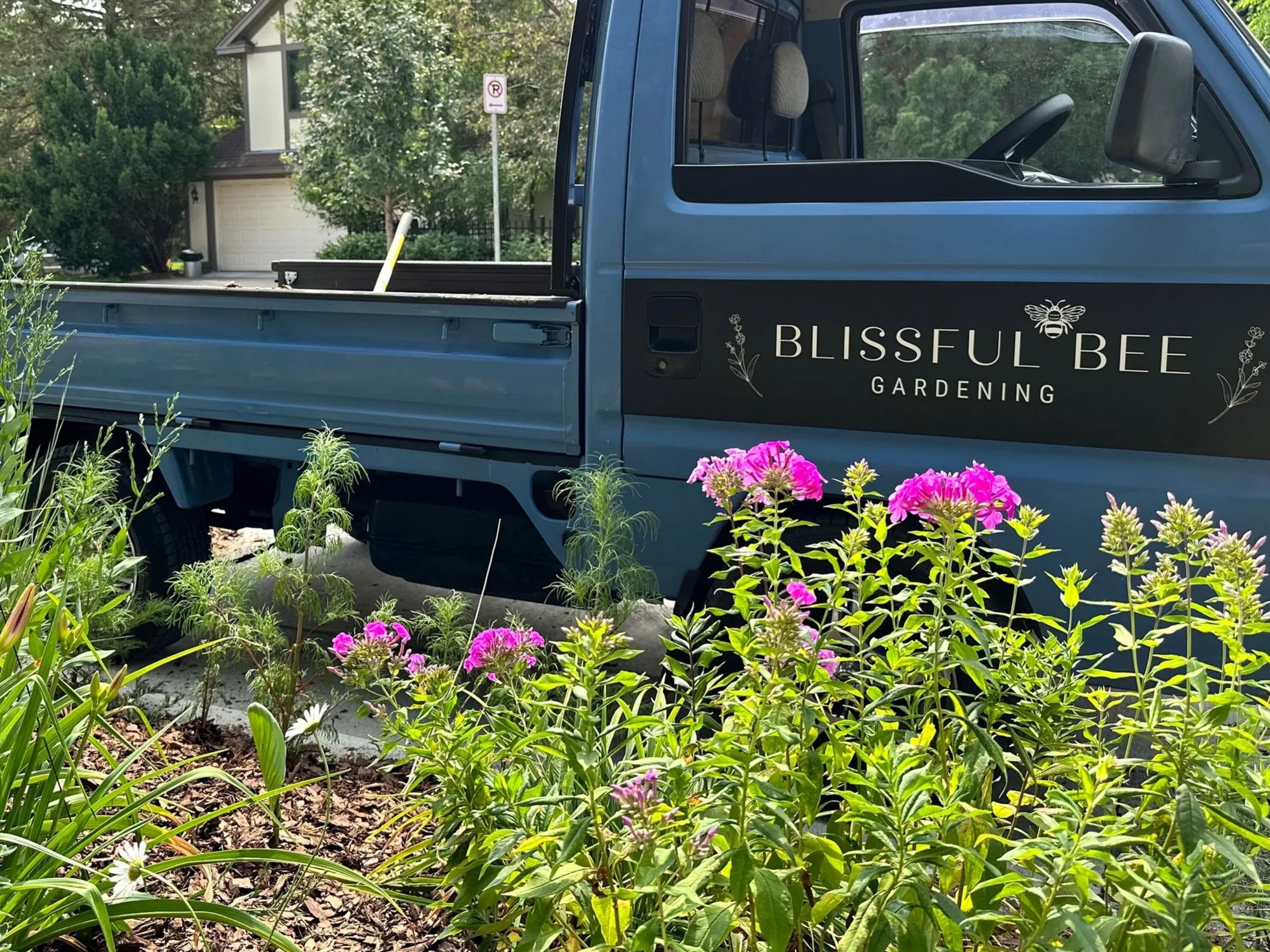 Blissful Bee Gardening
