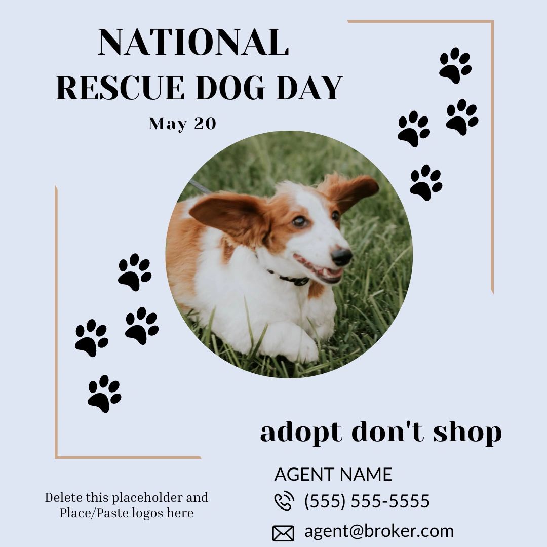 National Rescue Dog Day