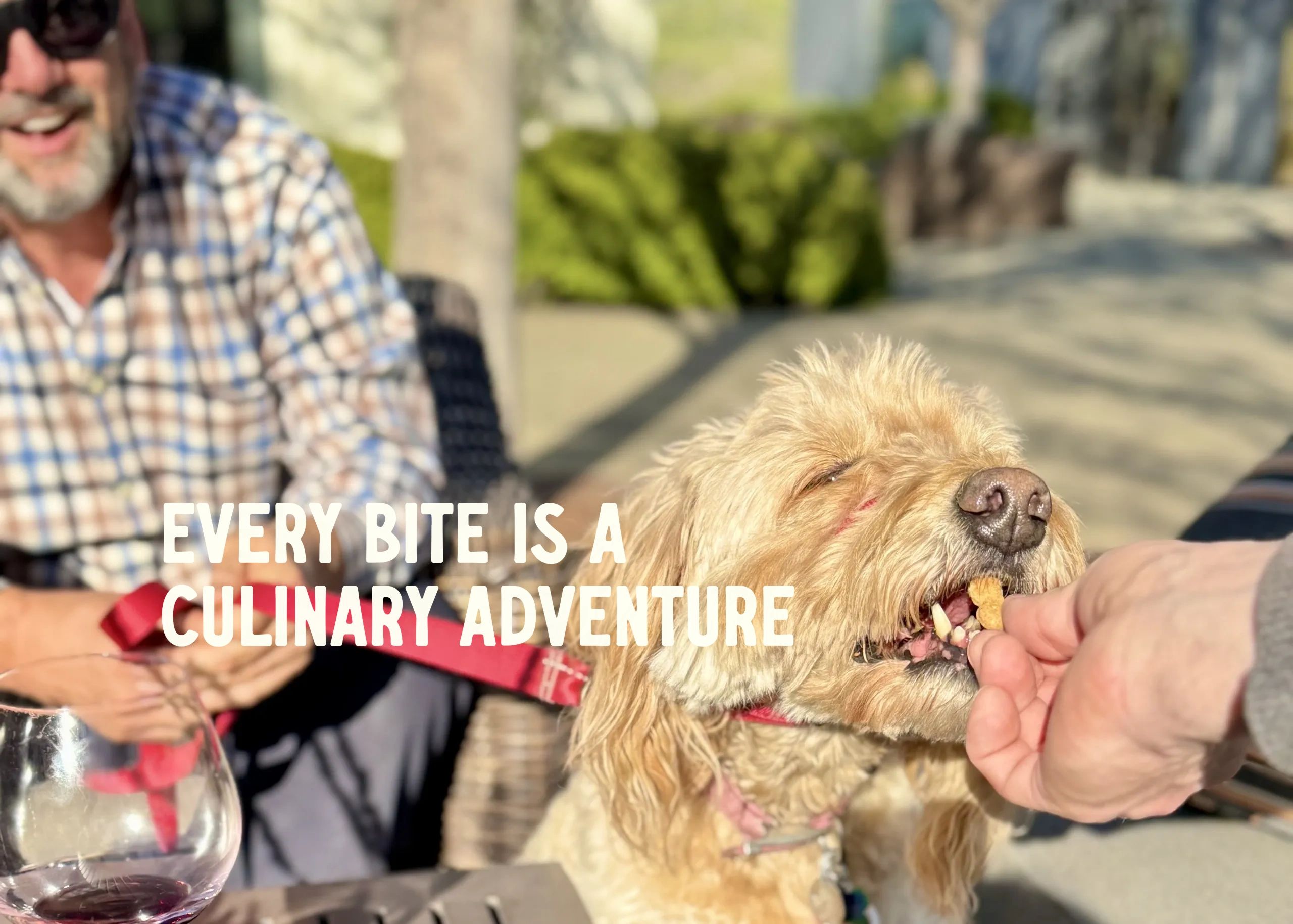 NEW! Spud Salmon Treats | Regal Mutt Holdings LLC