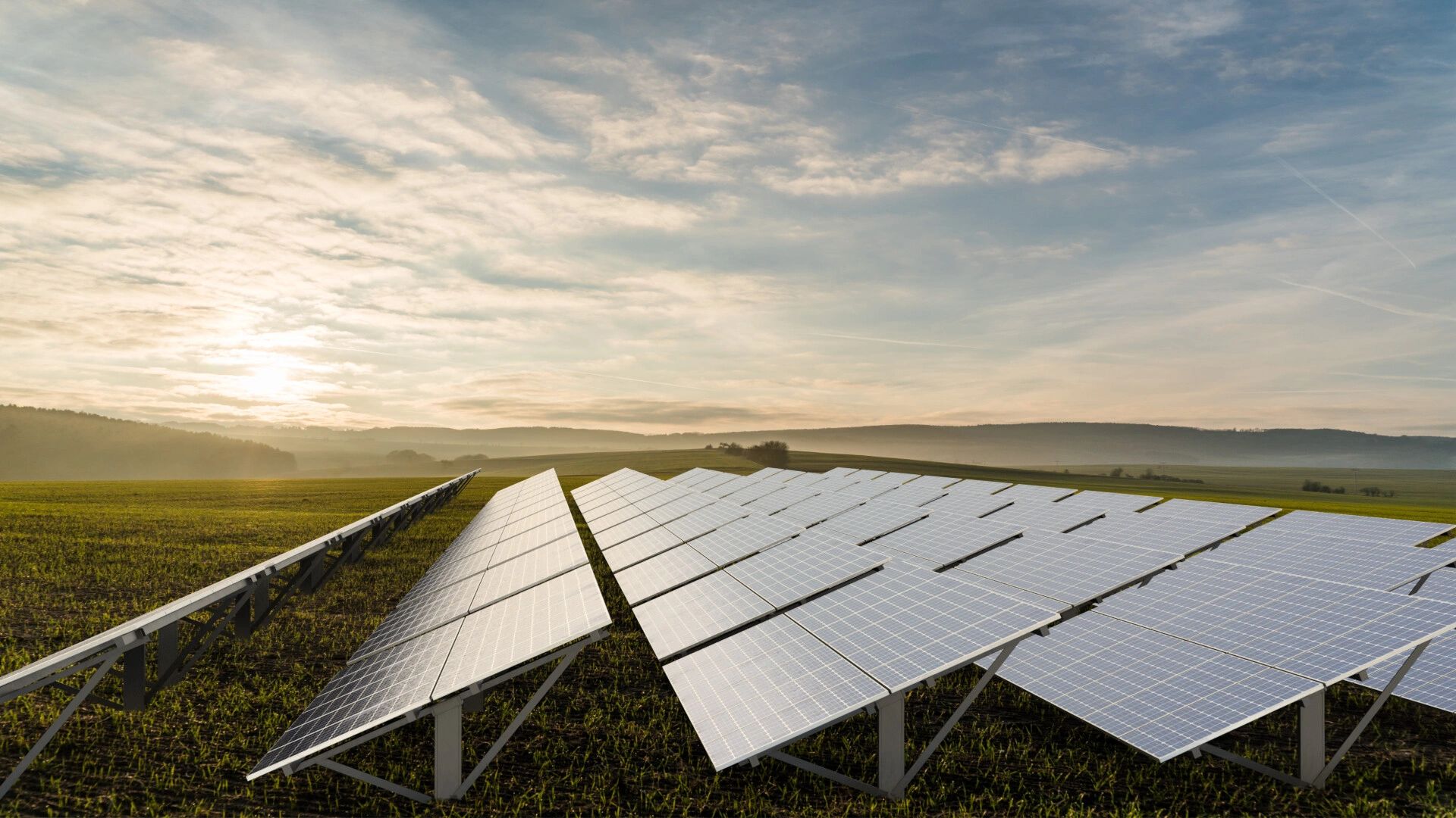 Home [solarenderfarm.com]