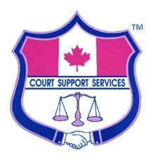 Court Support Services - Traffic Ticket, Fight Traffic Ticket