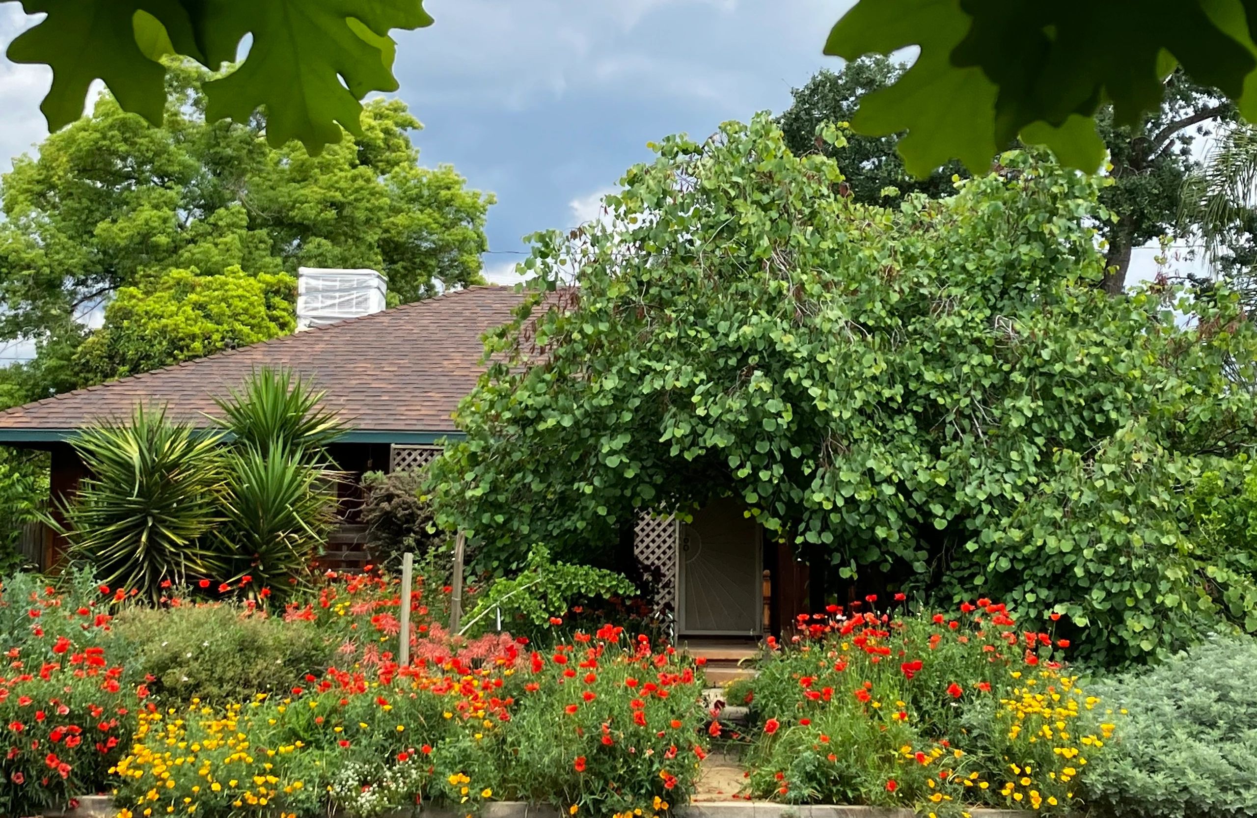 Triple junction landscaping