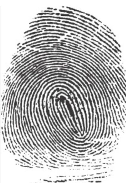 Refusal to Identify